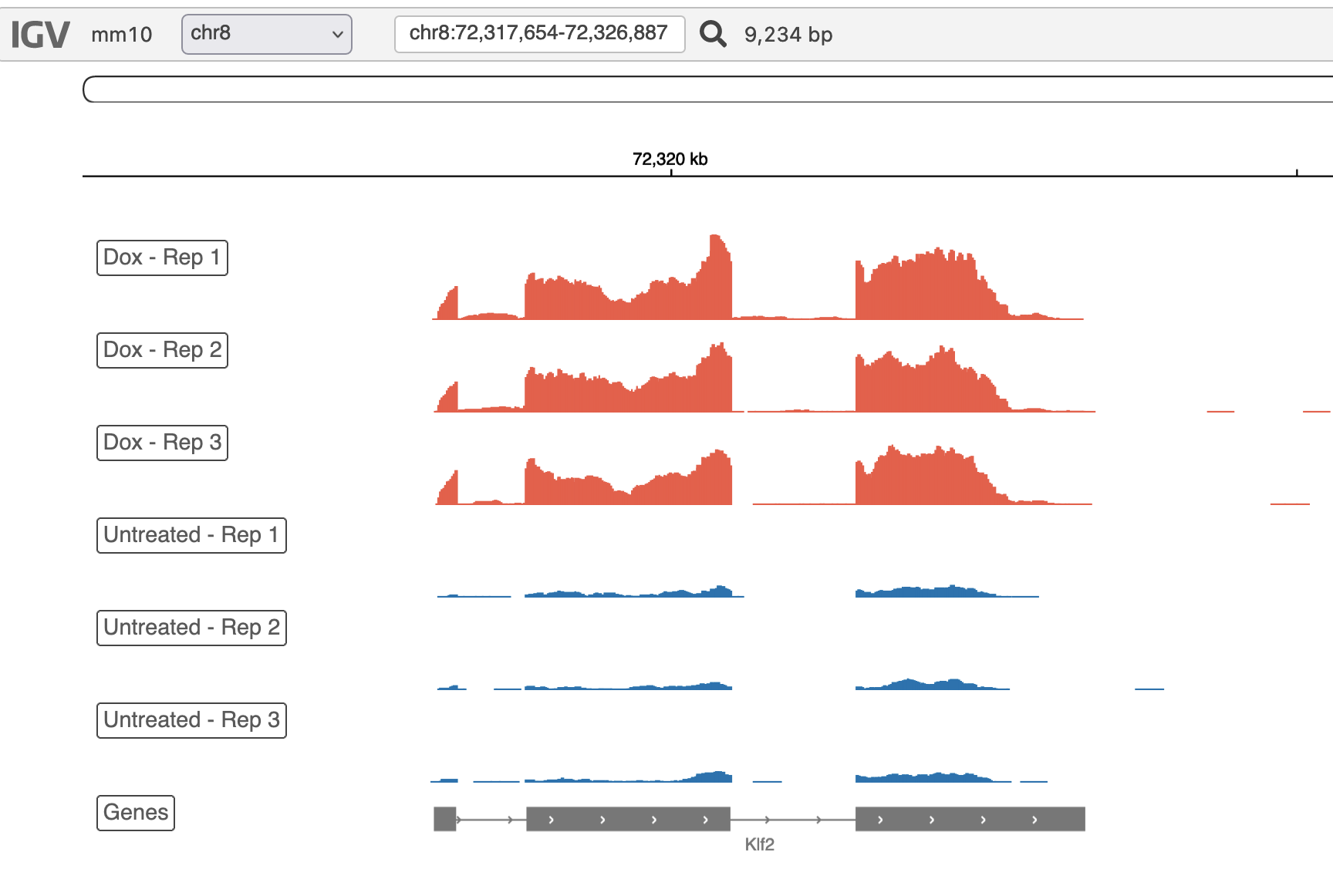Basepairを使用したNGS結果の視覚化 | basepairtech.jp