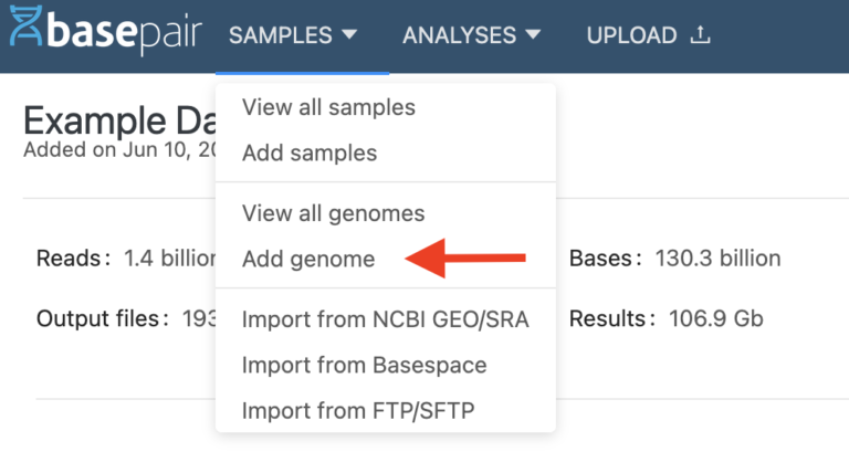 カスタムゲノムのアップロード | basepairtech.jp