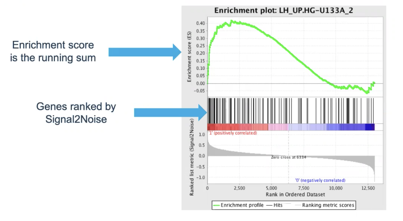 エンリッチされたGSEAプロットとエンリッチされていないGSEAプロットの違いはどのようにして見分けることができますか? | basepairtech.jp