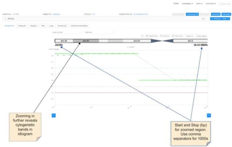 Basepairによる胚選択と体外受精成功率の向上