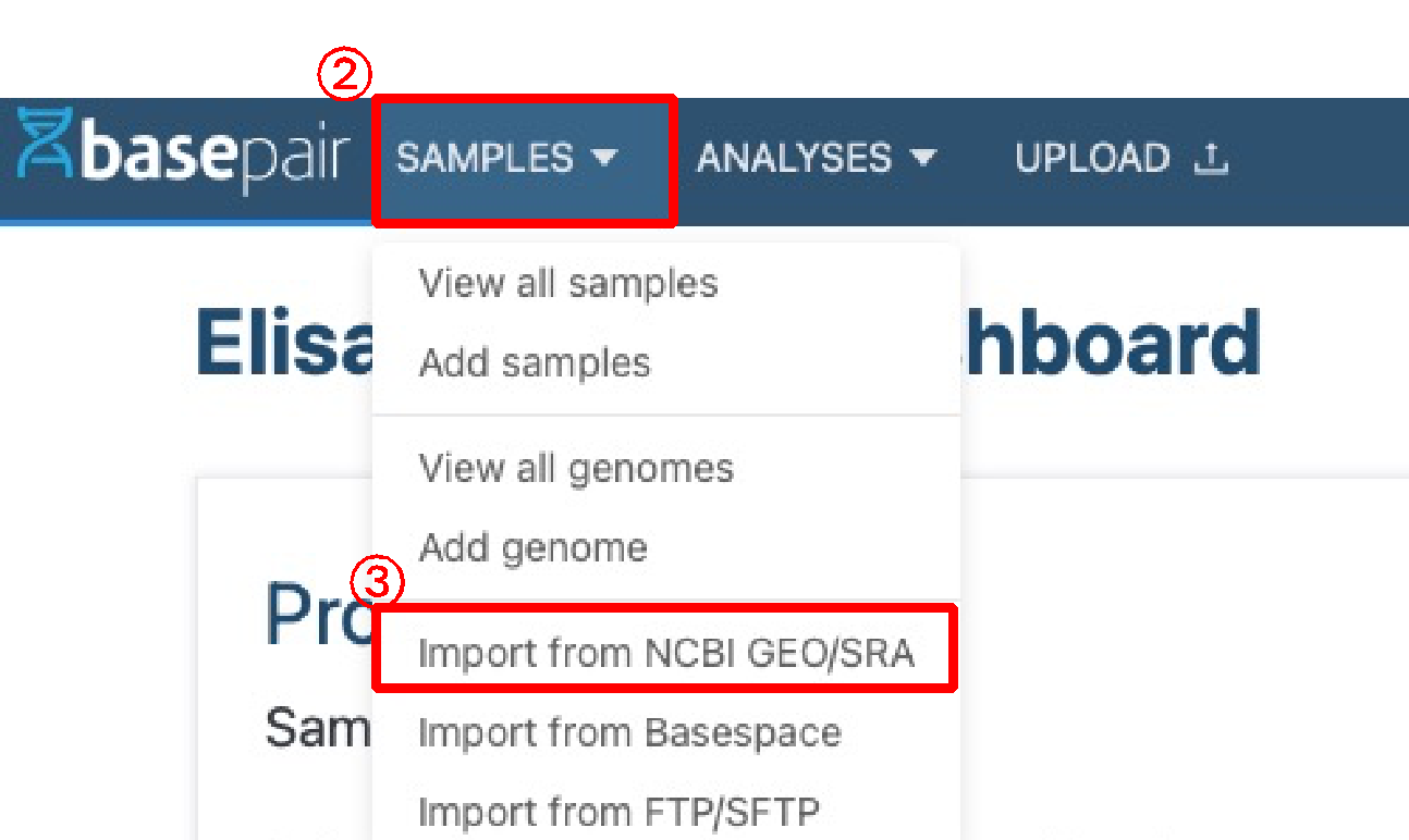 BasepairでのGEOデータのインポート | basepairtech.jp