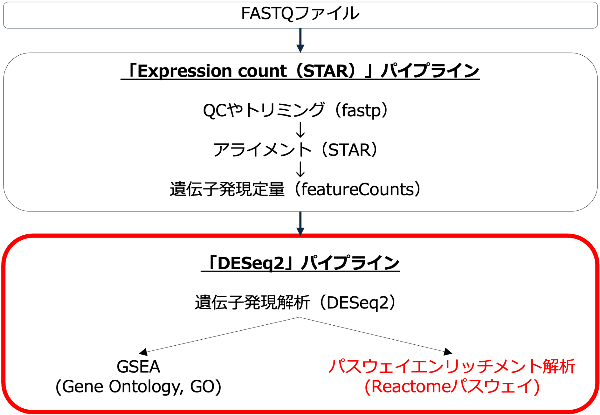 Basepairでパスウェイ解析（Reactome） | basepairtech.jp
