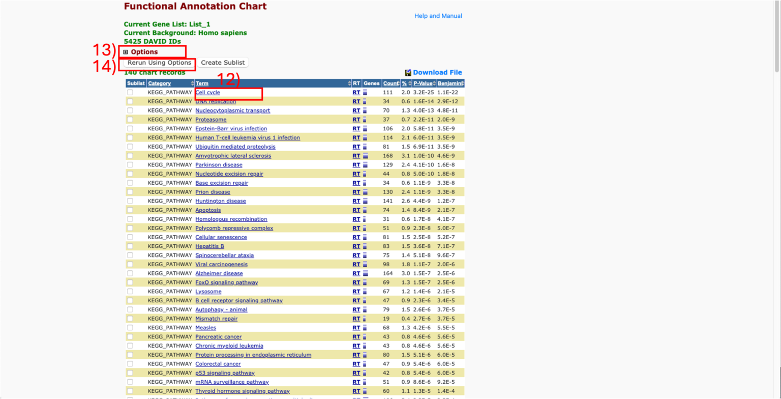 KEGGパスウェイ解析 | basepairtech.jp