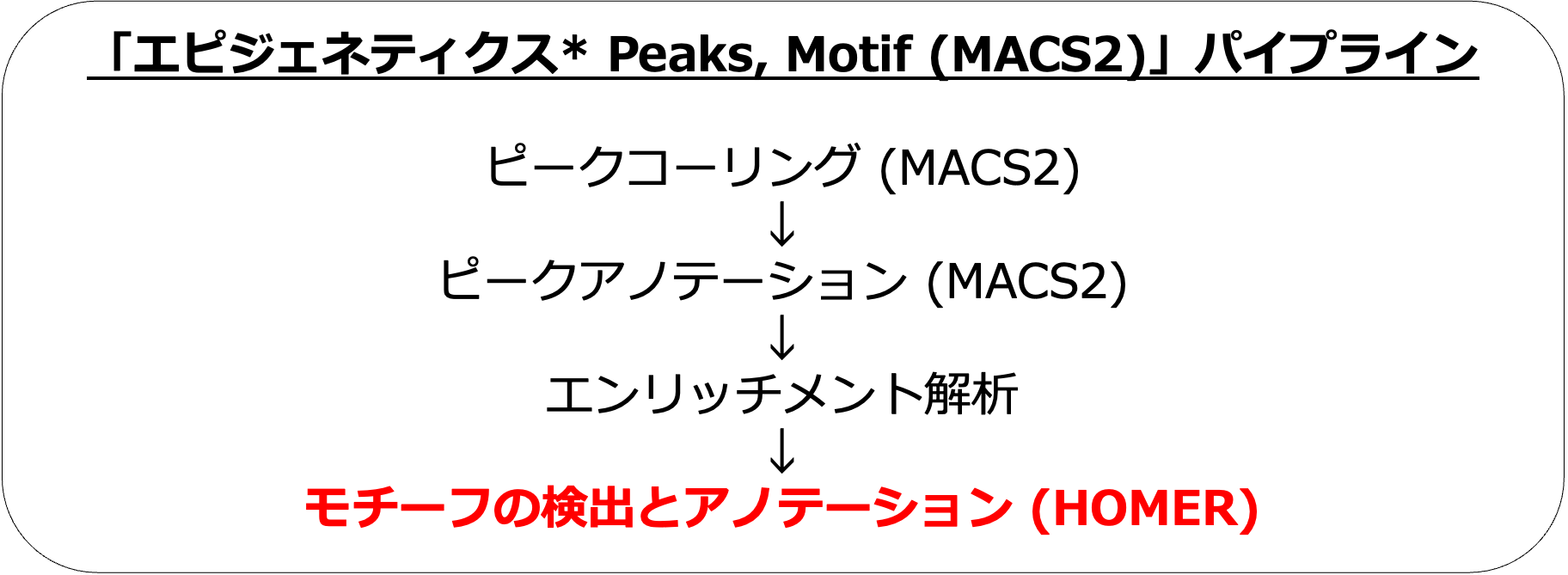 モチーフ検出とアノテーション