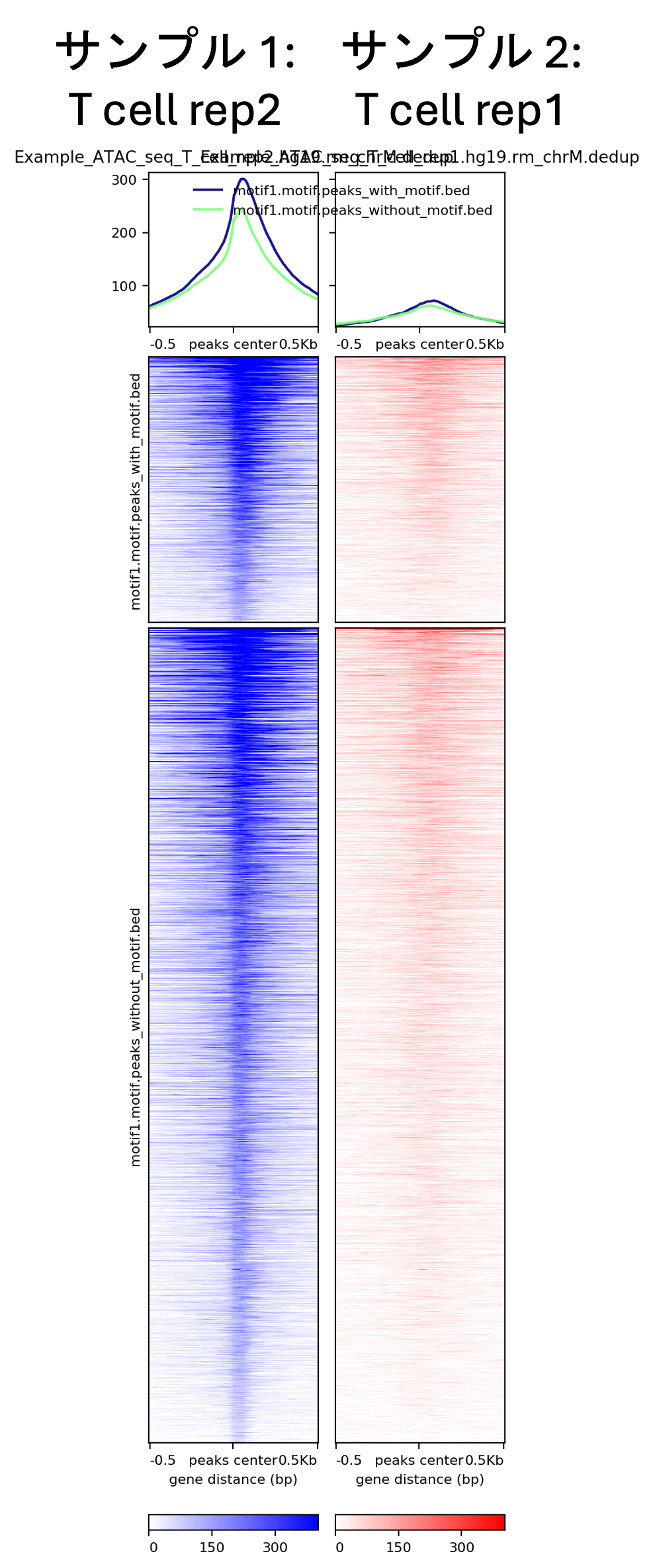 モチーフ検出とアノテーション