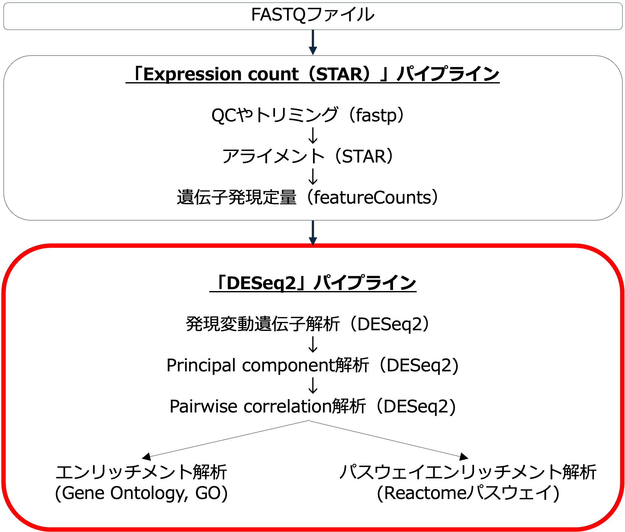 BasepairでのDESeq2パイプライン
