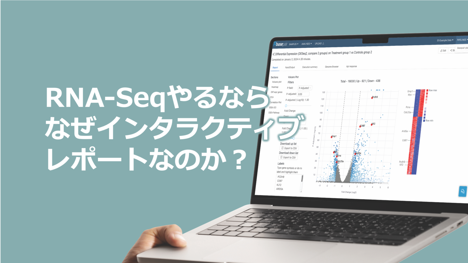 ATAC-Seq解析とパイプラインの概要 | basepairtech.jp
