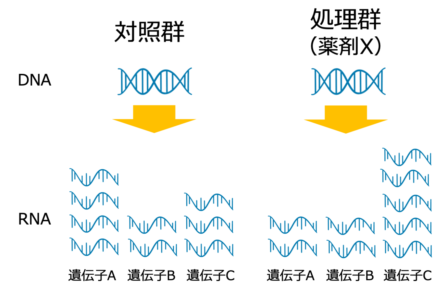 インタラクティブレポートでRNA-Seqが簡単なワケ | basepairtech.jp